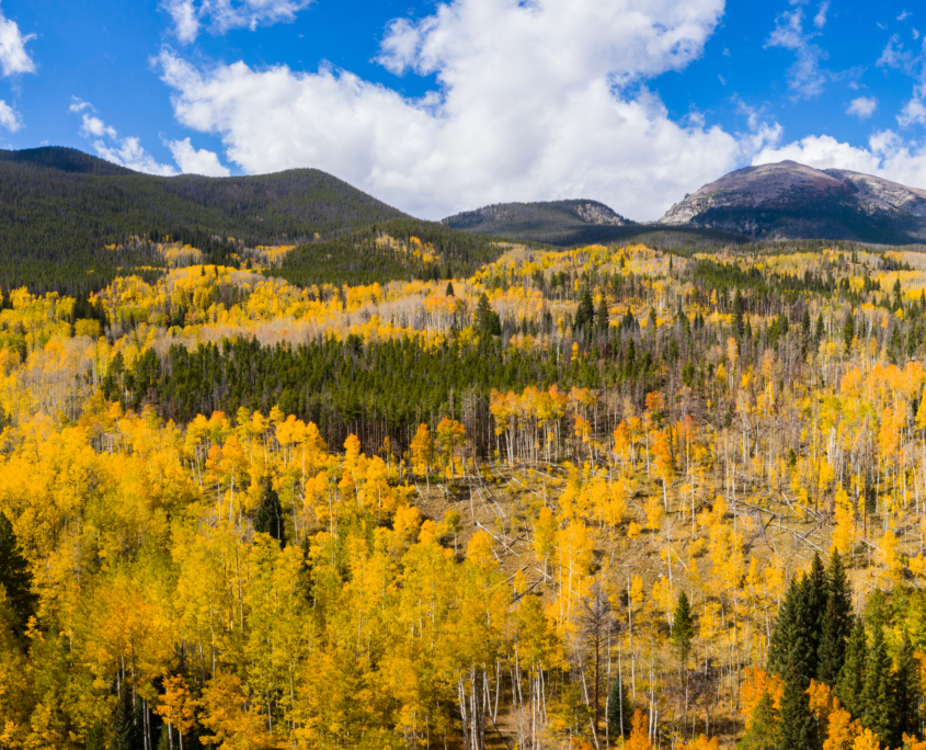 Fall Activities in Breckenridge | Best of Breckenridge